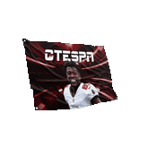 Music & Rapper Flags | Cool Flags For Rooms – Flagaholics